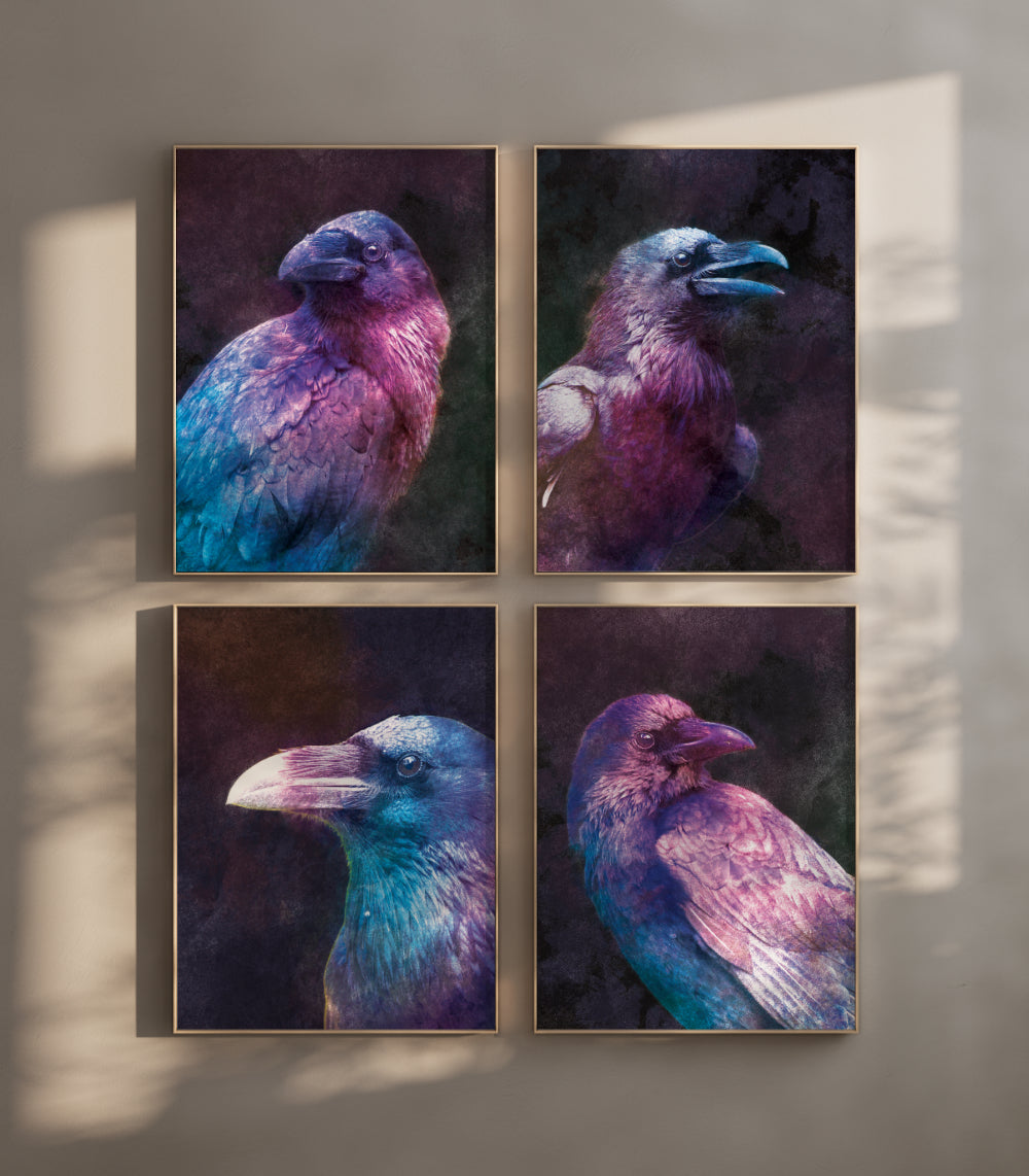 £5 Print Offers – Stephen Holder Art